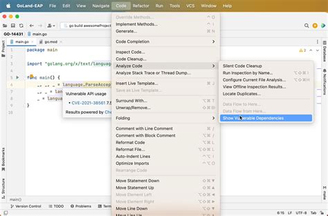 Check For Vulnerabilities Jetbrains Guide