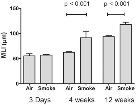Mean Linear Intercept Mean Linear Intercept Is Reported As A Download Scientific Diagram