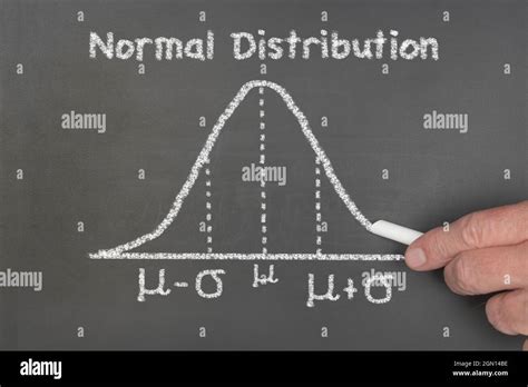 A Teacher Explains To Babes The Principles Of A Normal Distribution In The Area Of