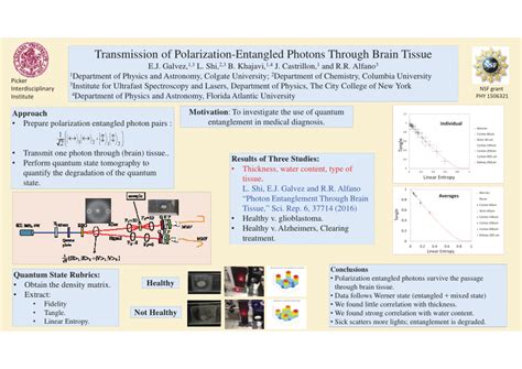 Pdf Transmission Of Polarization Entangled Photons Through Brain Tissue
