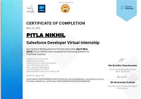 Nikhil Pitla On Linkedin Smartinternz Salesforce Trailblazercommunity Skilledonsalesforce…
