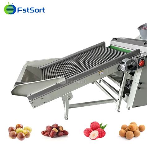 Date Processing Line Jujubes Washing Grading Machine Dates Sorting