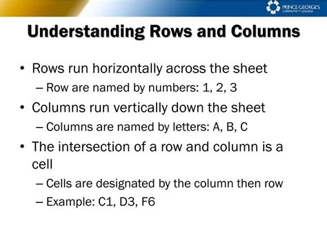 Ppt Excel The Basics Powerpoint Presentation Free Download Id6497027