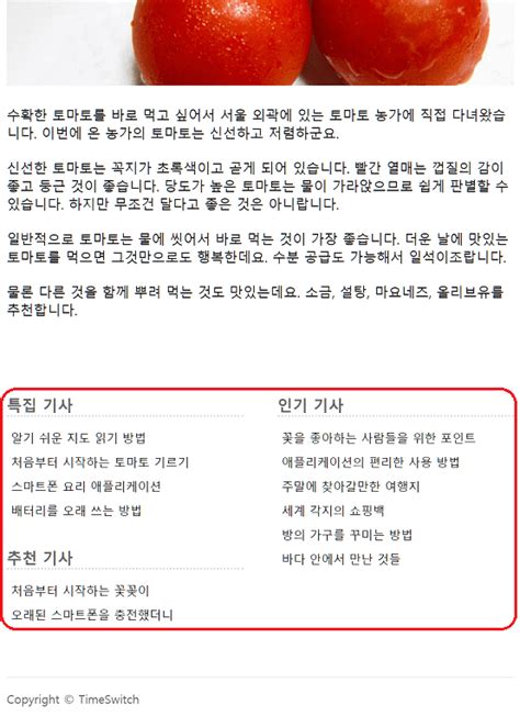 모던 웹사이트 디자인의 정석 Html5 And Css3로 만들고 반응형 웹 디자인까지 고려한 위키북스