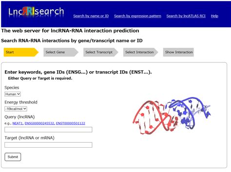 Lncrrisearch