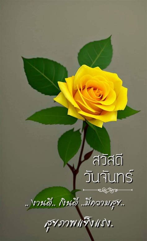 ปักพินโดย à¸§à¸±à¸à¸§à¸´à¸ªà¸²à¸à¹ à¸à¸£ ใน Good Day ดอกไม้สวย สวัสดีตอนเช้า อรุณสวัสดิ์