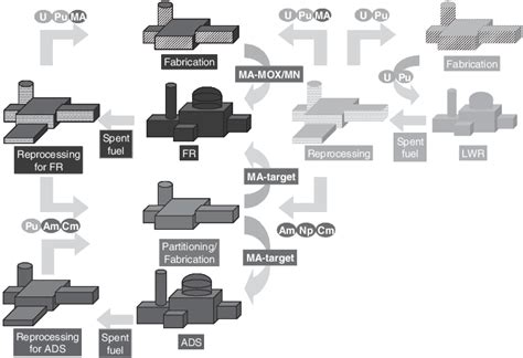 Schematic Diagram Of Future Integrated Closed Cycle System Download Scientific Diagram