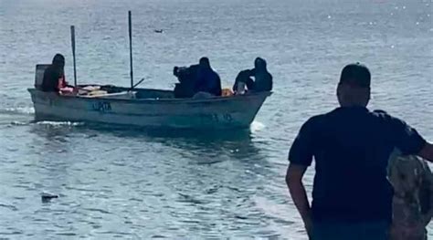 Muere Pescador Tras Ataque De Tiburón En Sonora Okey Querétaro