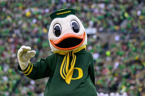 Oregon Duck Mascot Decapitated Ahead Of Season Opener Vs Montana State
