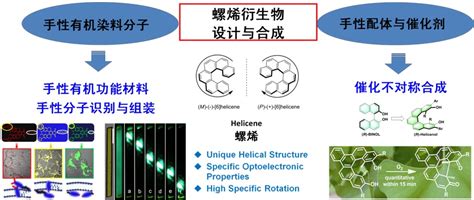 学术带头人