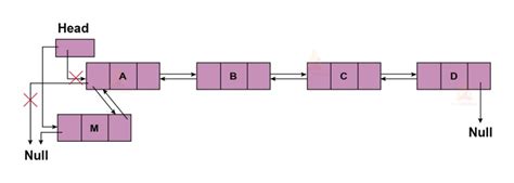 Doubly Linked List In Data Structure Techvidvan