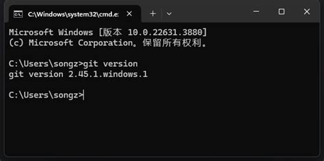 在windows上安装git Git教程