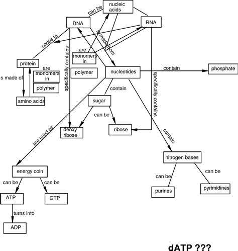 Pdf Using The Concept Map Technique In Teaching Introductory Cell