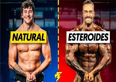 ¿qué Es El Catabolismo Muscular Lo Que Debes Saber