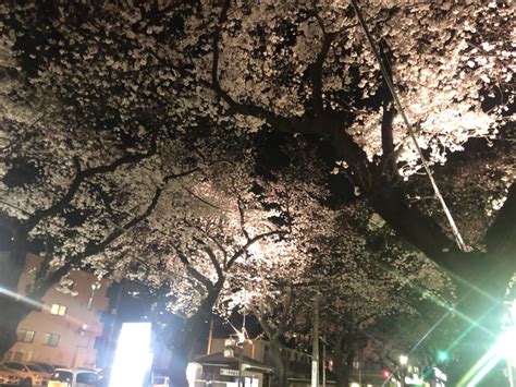 新年度スタート！！ 横浜市ハピネス老人ホーム・介護施設紹介センター