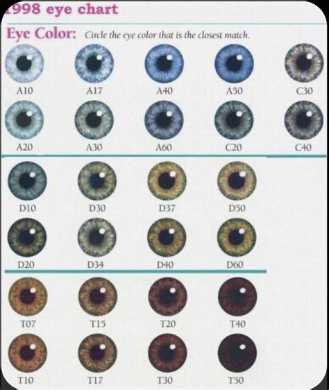Jose Mª Echarte J Echarte On X Eye Color Chart Eye Color Facts