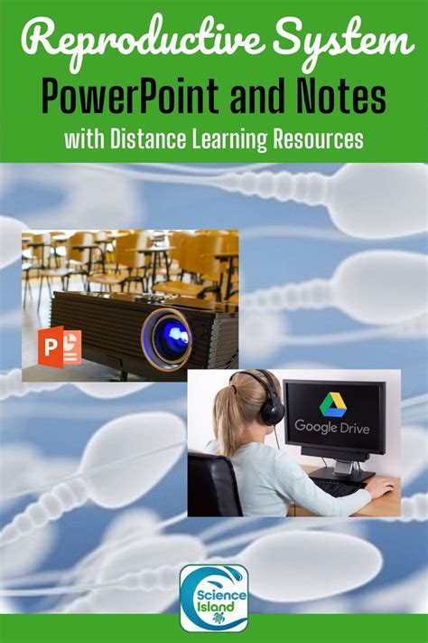 Reproductive System Powerpoint And Notes Reproductive System Secondary Science Secondary