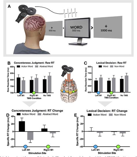 Figure 1 From Primary Motor Cortex Functionally Contributes To Language Comprehension An Online
