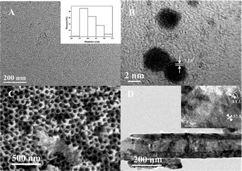 a tem image of the cds inset size distribution histogram of cds