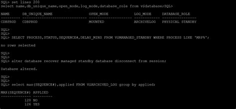 19c Physical Standby Database Switch Over To Primary Database