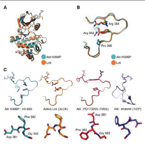 Structure Of Vx 680 Complex A Structure Of Abl Kinase Domain Bound To