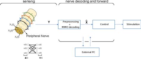 Figure 1 From Neural Network Based Classification Of Eng Recordings In Response To Naturally