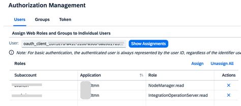 Authorize Api Client To Access Cloud Integration Api