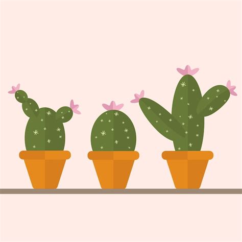 Premium Vector Cacti On The Table