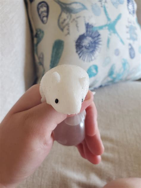 Sex Of My Rat I Just Don T Know R RATS Sex Of My Rat I Just Don T Know R RATS