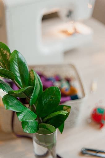 재단사를 위한 가벼운 미니 멀 작업 공간입니다 화이트 봉 제 기계 및 테이블에 바느질 액세서리의 바구니 재 봉사 장소에 그린 하우스 식물입니다 여성 중소 기업 가정에서의