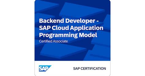 Priyanka Yadav Deshmukh On Linkedin Sap Certified Associate Backend