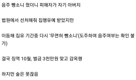 죽지 못해 살고있다는 음주 뺑소니 가해자 유머이슈 Yuldo