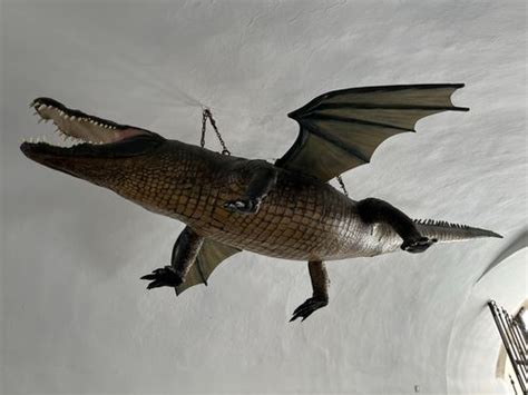 O DRAČICI – O BRNĚNSKOU DRAČICI