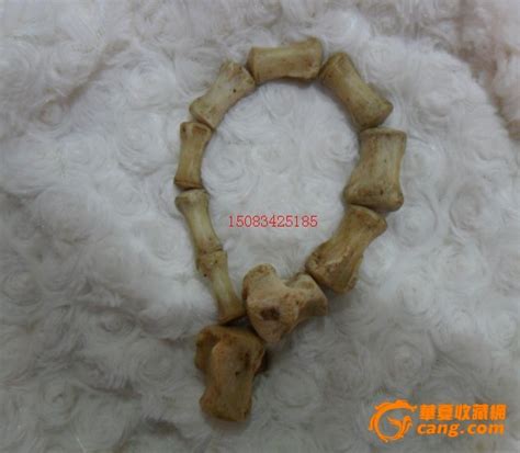 后背两块骨头突出图片 儿童肩胛骨突出图片 肩胛骨突出驼背图片 第3页 大山谷图库