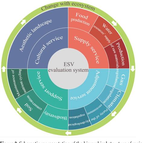 Figure 1 From A Multi Scenario Simulation And Dynamic Assessment Of The Ecosystem Service Values