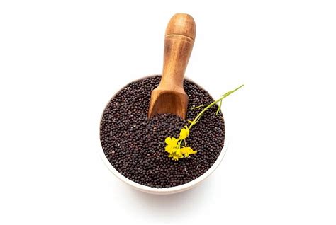 Selenium 200ppm Extract Powder At ₹ 6100kg Selenium Powder In Greater Noida Id 2853999259212