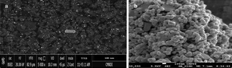 Sample Sem Based Morphology Images A Dspn And B Tio2np