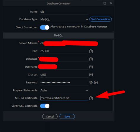 Error Connection Database Cluster Bugs Wappler Community