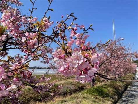 福ふくの里福吉ふれあい交流センター 観光スポット 公式福岡県の観光 旅行情報サイトクロスロードふくおか