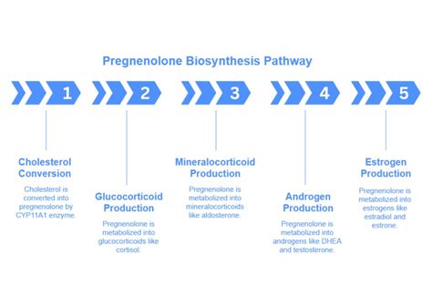 Can I Take Pregnenolone And Dhea Together Vinatura Supplements