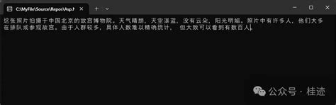 Semantic Kernel图识文 刘靖凯 博客园