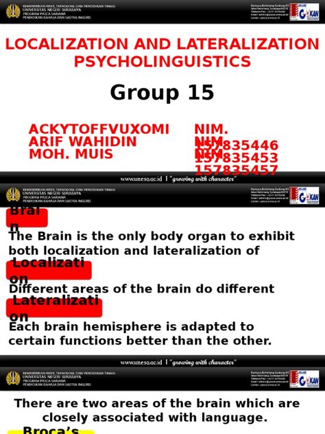 Localization And Lateralization Lateralization Of Brain Function