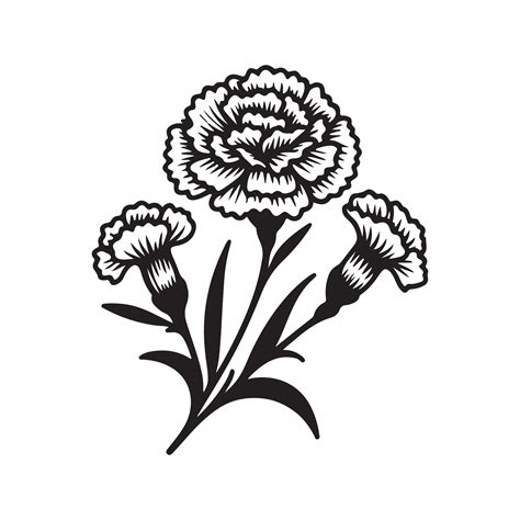 Line Art Of A Carnation 47229761 Vector Art At Vecteezy