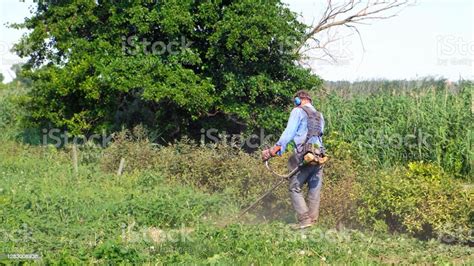 수석 남자는 가솔린 브러시 커터와 잔디를 깍는다 작업 바지 보호 고글 방음 헤드폰 및 작업 장갑을 착용 하는 남자 전체 길이 보기 잔디 깎는 기계에 대한 스톡 사진 및 기타