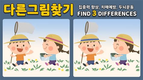 【틀린그림찾기🐣】 신나고 재미있는 두뇌운동🔎 뇌를 자극하여 집중력과 인지력을 향상시켜요 【치매예방두뇌운동】 Youtube