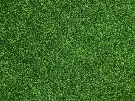 Green Grass Texture Background Grass Garden Concept Used For Making