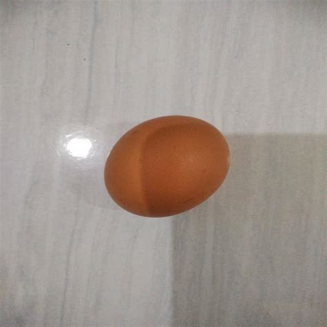 Telur Object Detection Dataset V1 2023 12 20 7 24pm By Bangkit Project