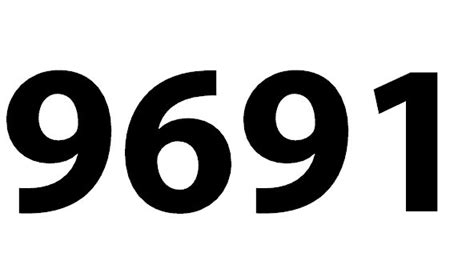 Zahl 9691