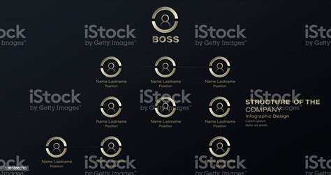 회사의 구조 비즈니스 계층 구조 오간그램 차트 인포그래픽 기업 조직 구조 그래픽 요소 스톡 일러스트레이션 러시아 인포그래픽 조직