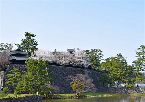 国宝 松江城ホームページ